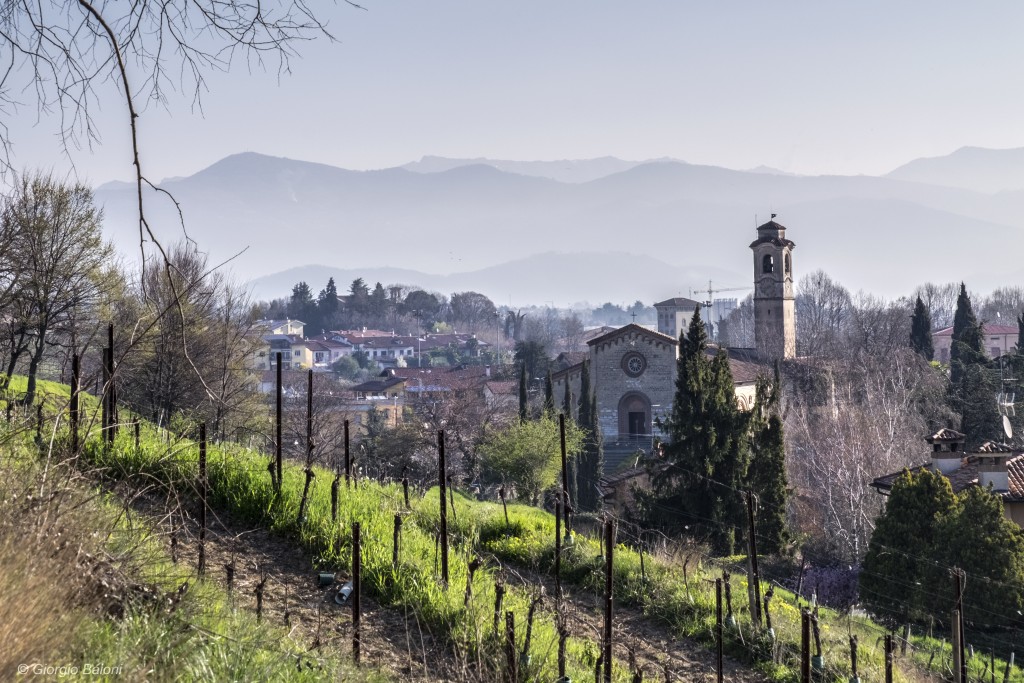 Su Rovato.it le splendide foto di Giorgio Baioni - Rovato.it